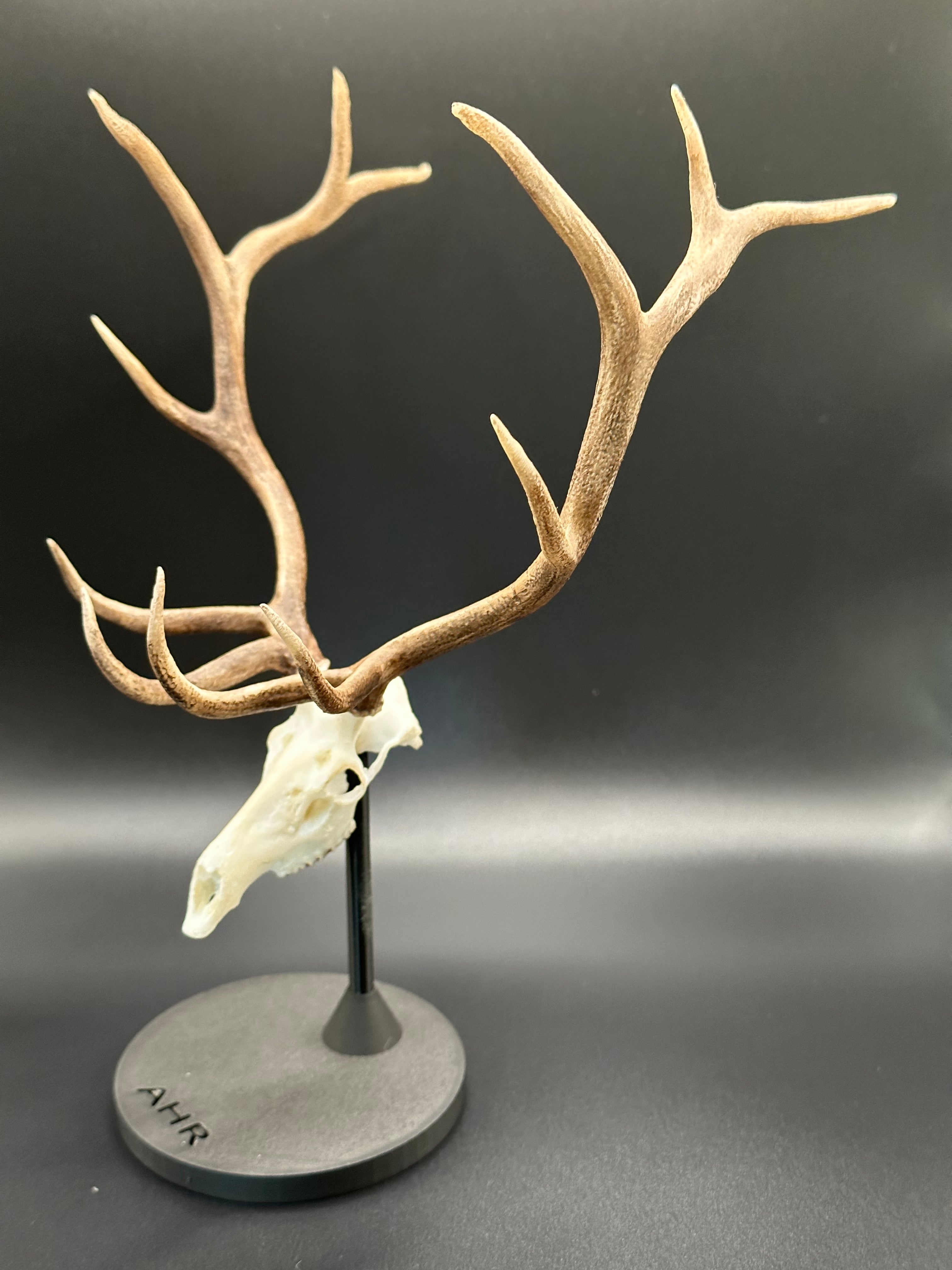 Elk Mini Replica – aroundthehornreplicas